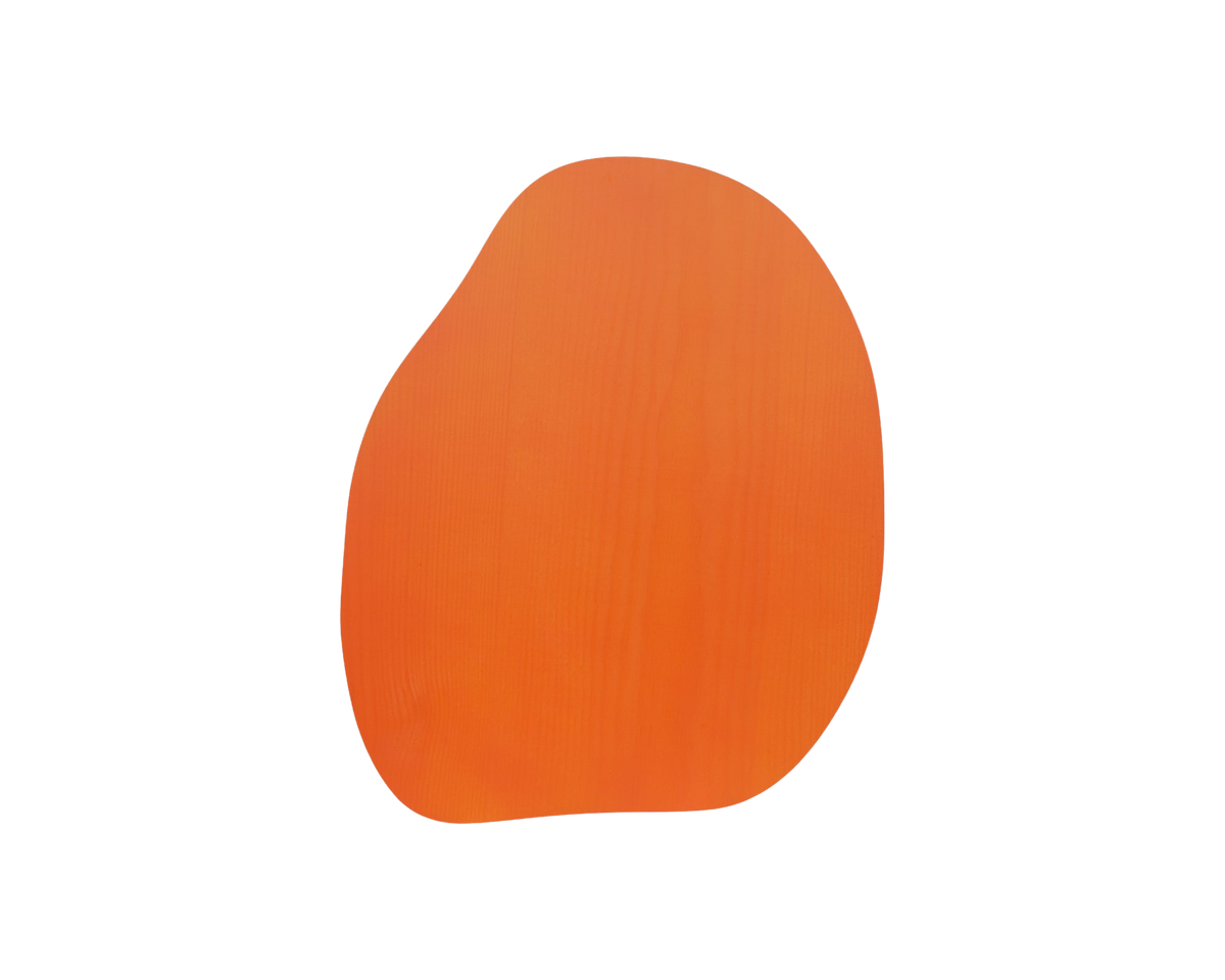 Pond Object | Orange Spruce – FRAMA