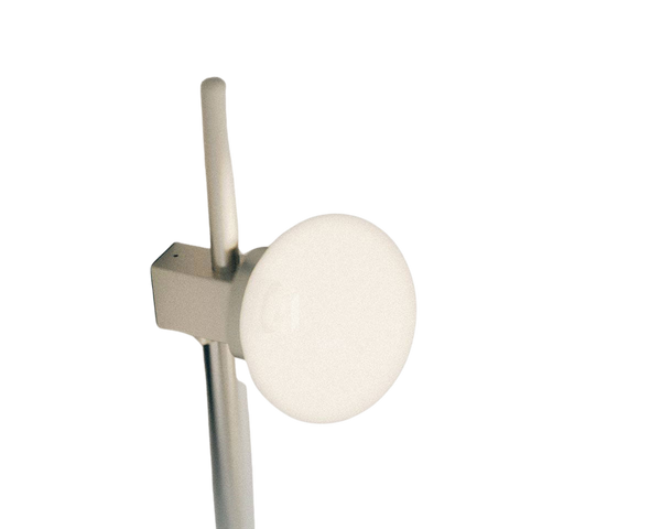 Ovoid Wall Lamp | Stainless Steel | Single – FRAMA